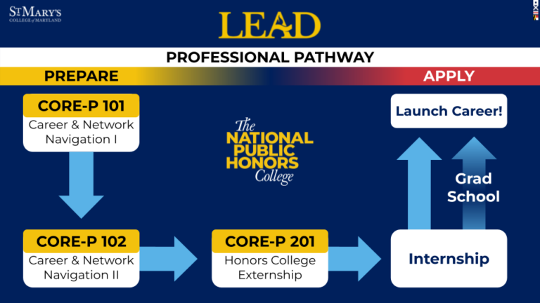 Professional Pathways
