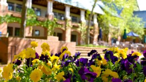 New Student Information